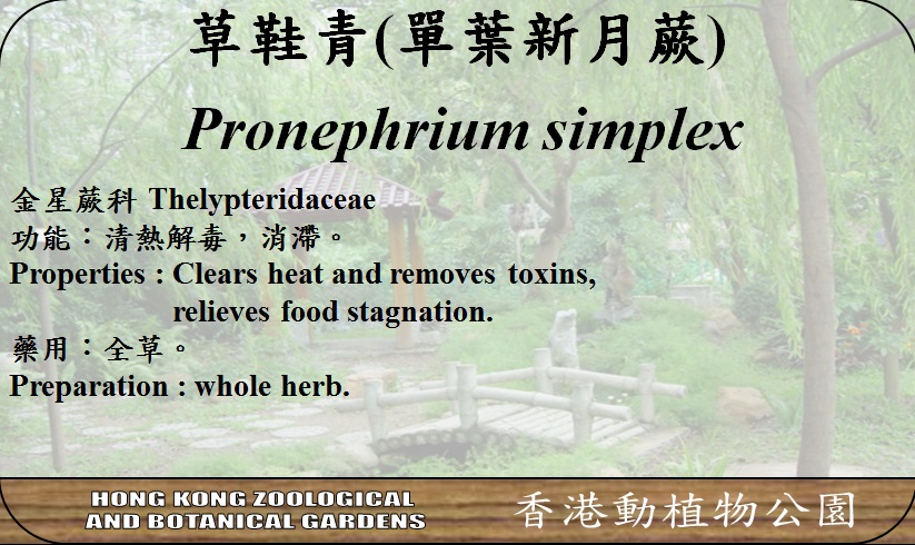 Hong Kong Zoological and Botanical Gardens - Herbs for removing ‘heat ...