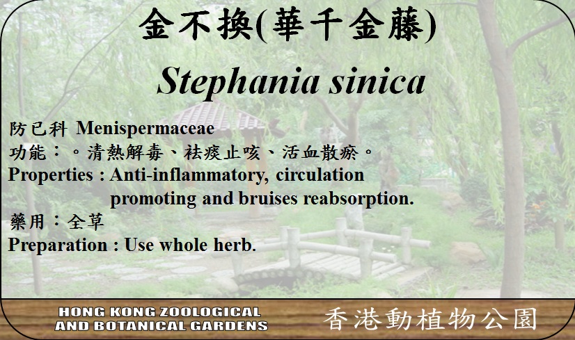 Hong Kong Zoological and Botanical Gardens - Herbs for removing ‘heat ...