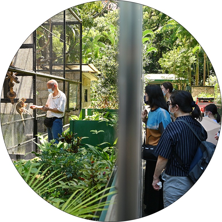 Hong Kong Zoological and Botanical Gardens - Meet-the-Zookeepers