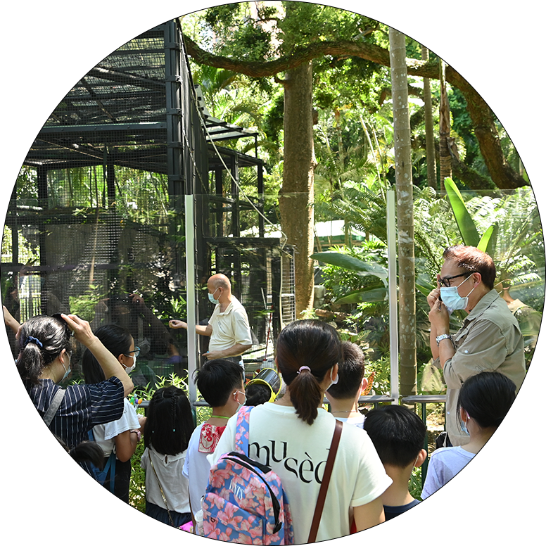 Hong Kong Zoological and Botanical Gardens - Meet-the-Zookeepers